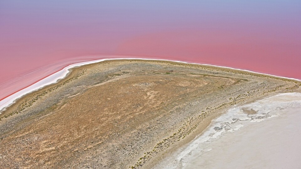 Vergängliches Wunder der Natur: Lake Eyre | KW26 | 2025 | Ferne | News ...
